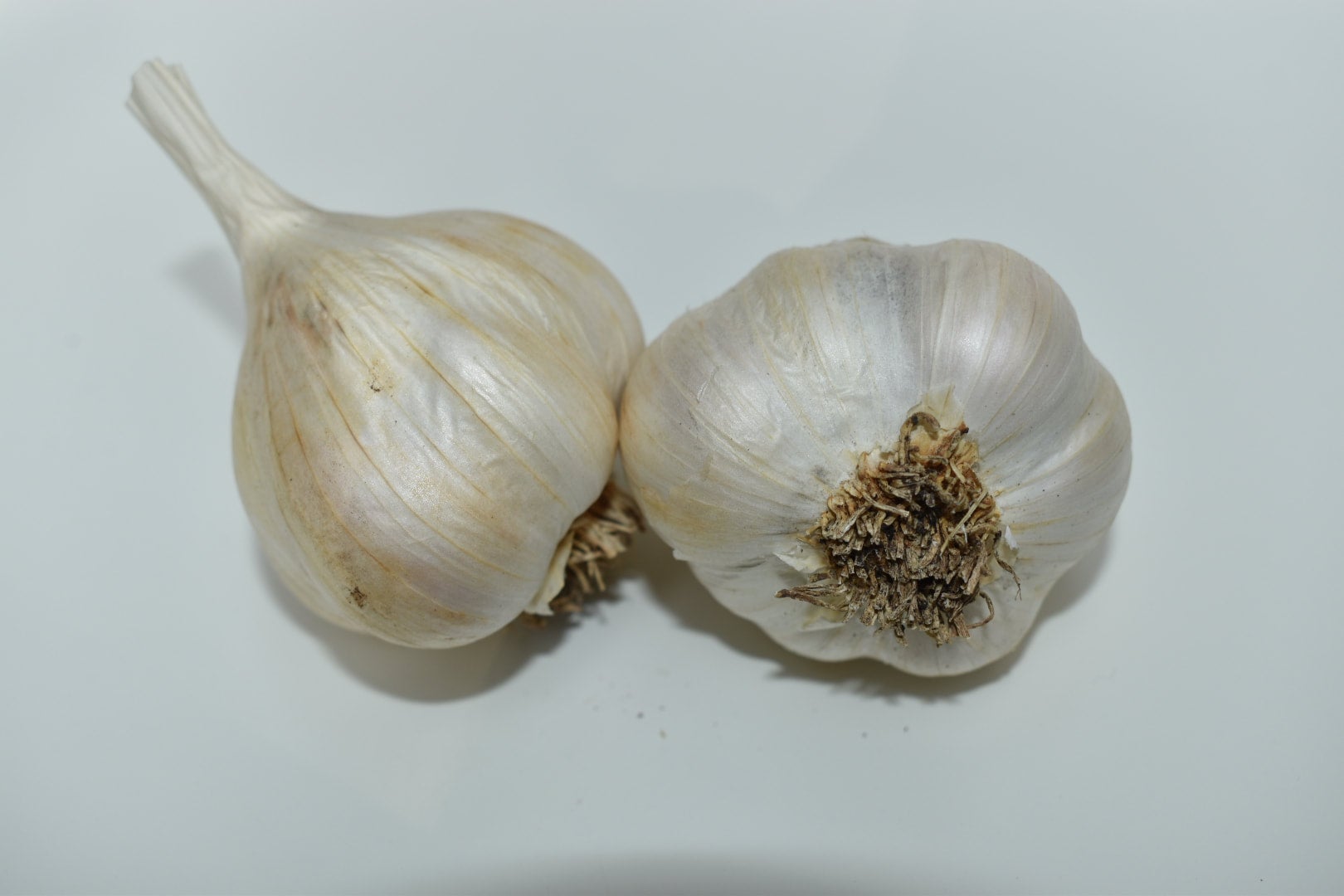 Greek Garlic | Door County Garlic | Buy Organic Seed Garlic | Rocambole ...
