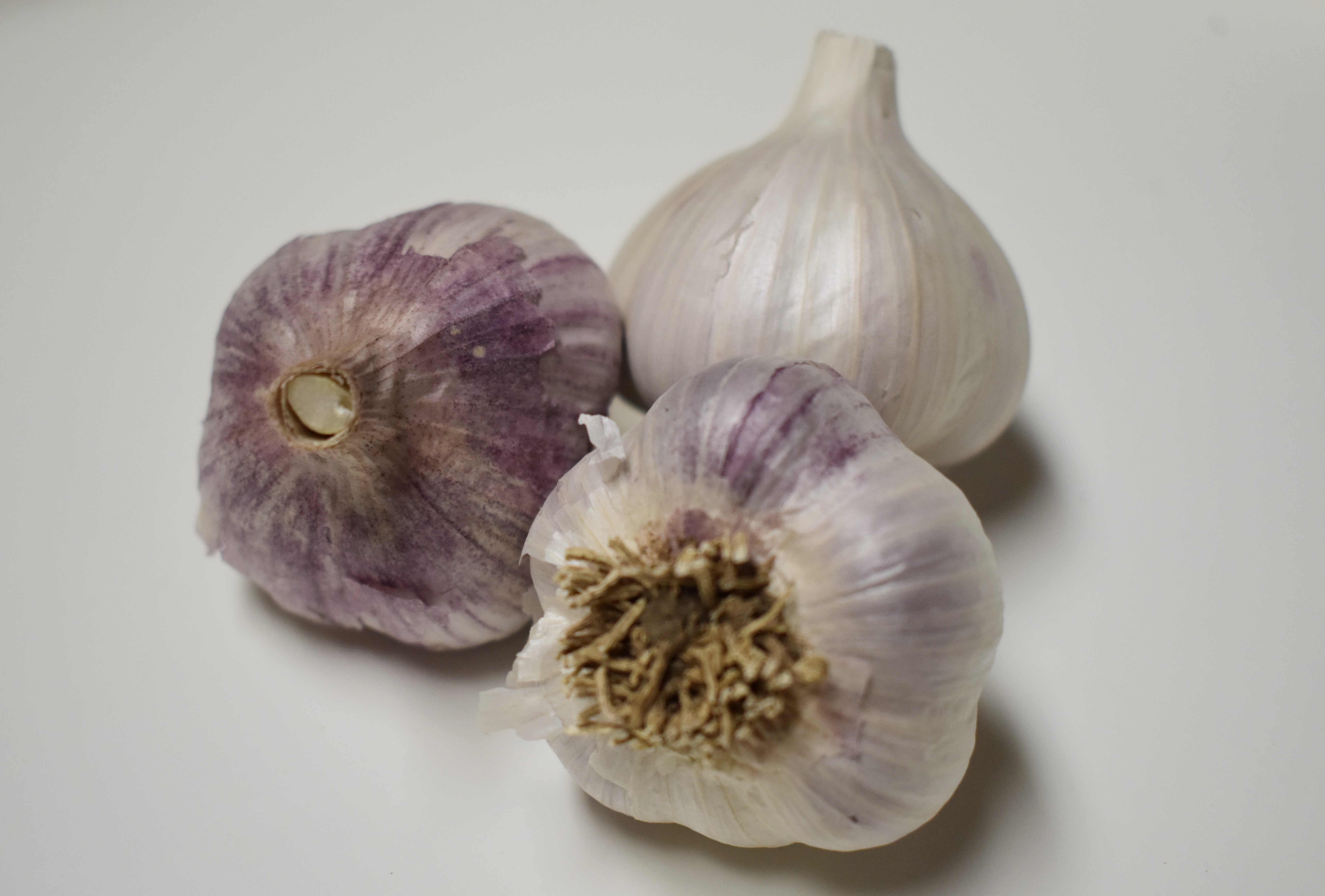 Pyong Yang Natural Organic Garlic | Door County Garlic | Seed Garlic ...