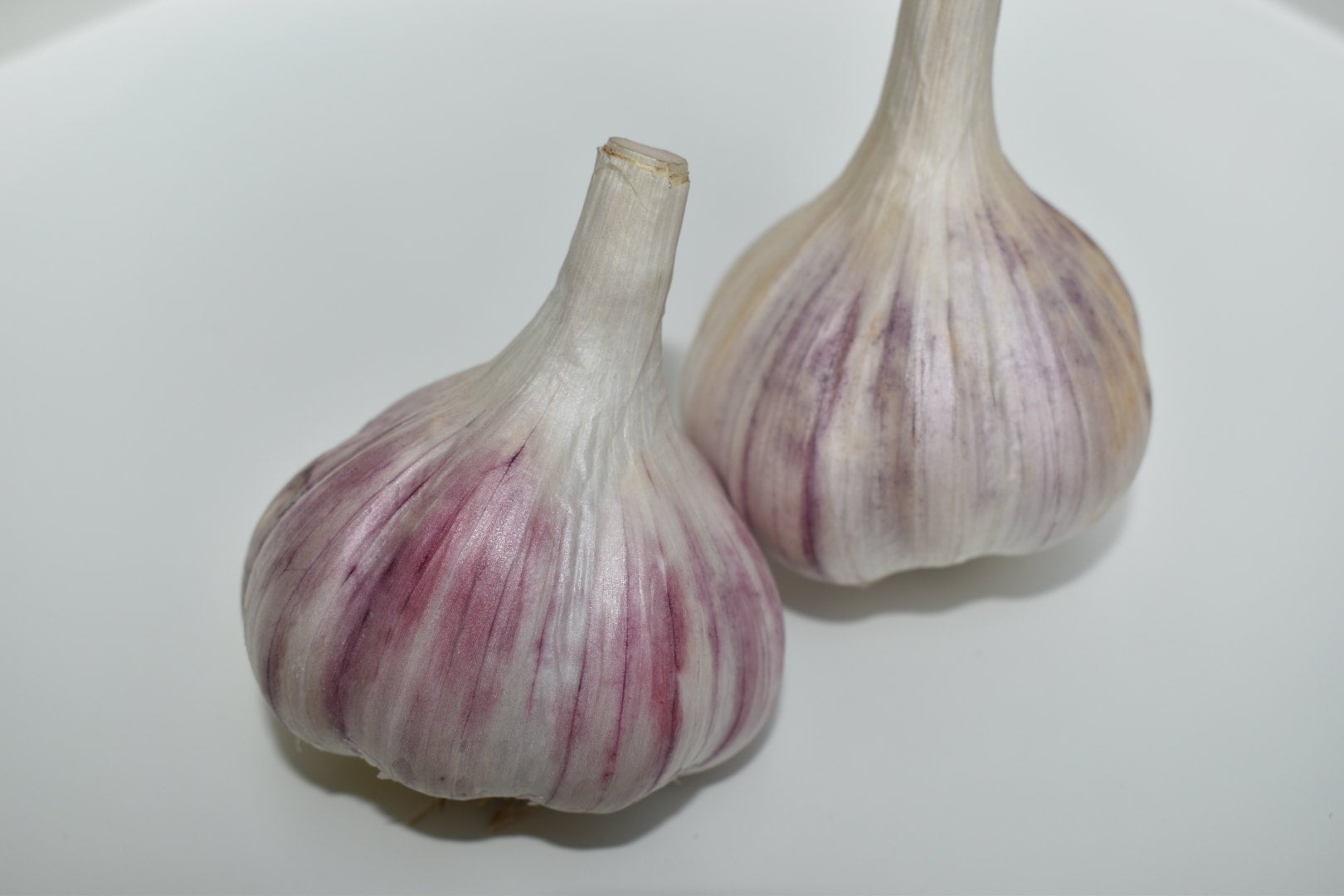 Rose De Lautrec Garlic | rare hard to find garlic | Specialty garlic ...