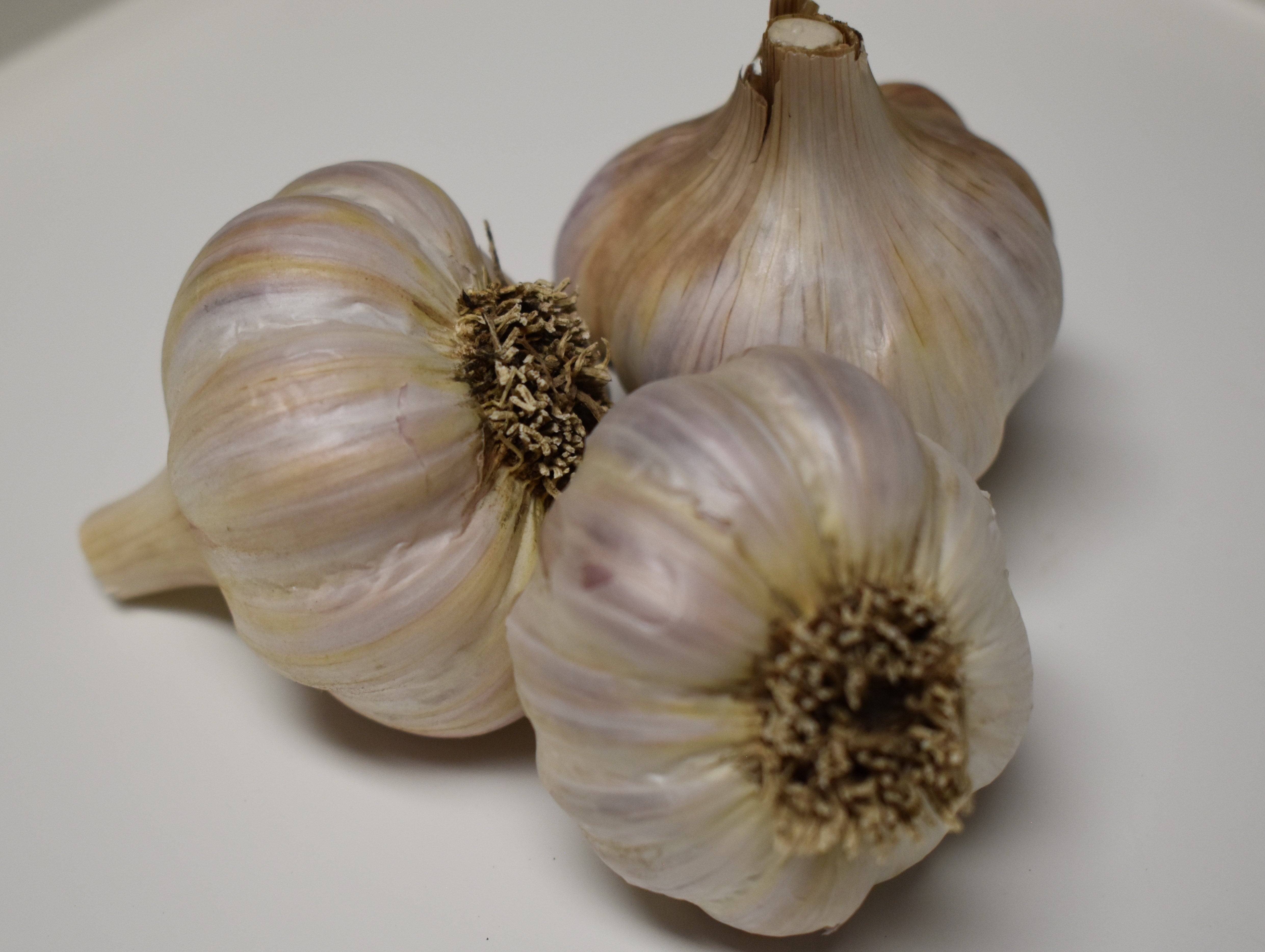 Aglio Rosso Natural Organic Garlic | Door County Garlic | Seed Garlic ...