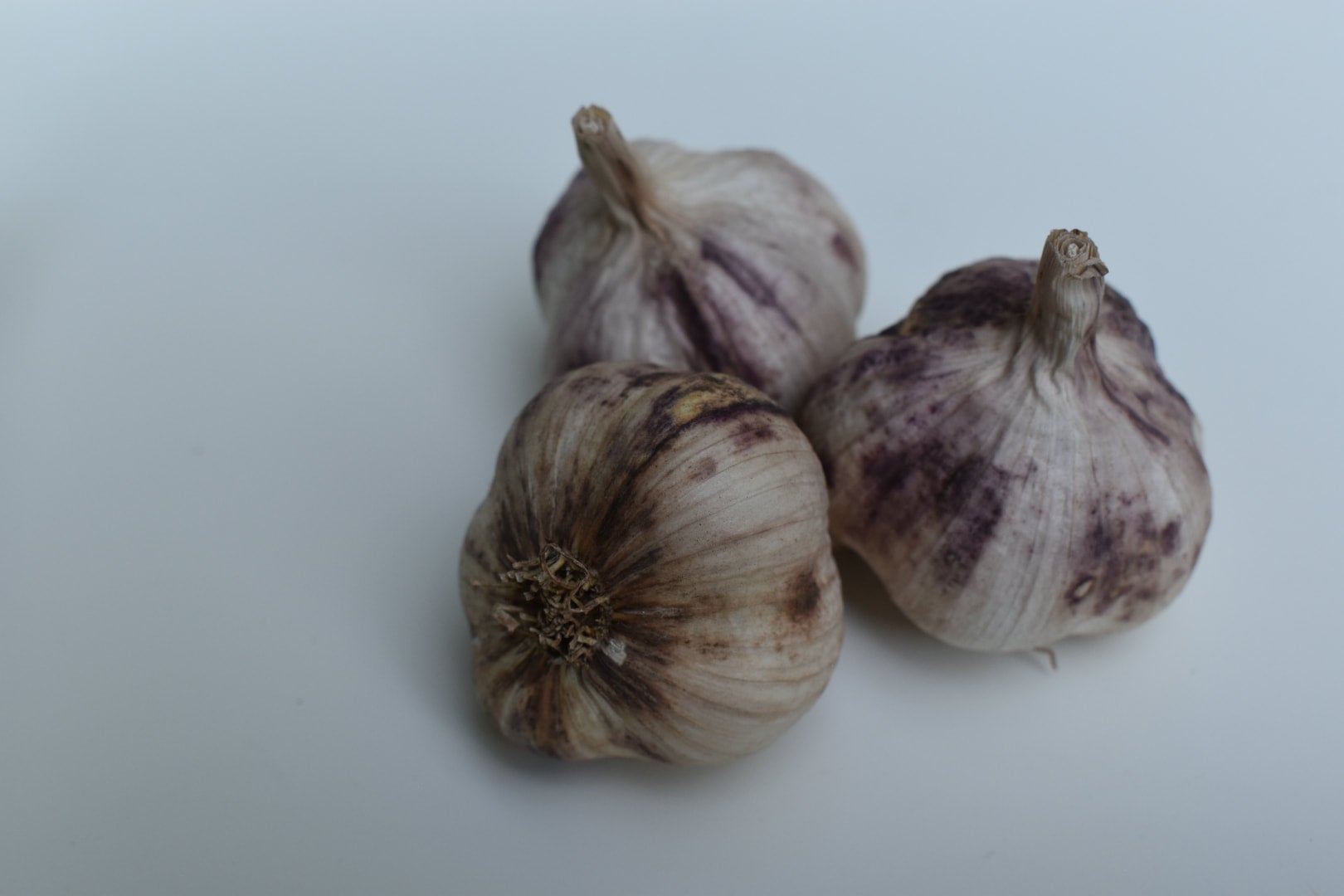 Thai Purple Organic Garlic | Door County Garlic | Buy Organic Garlic ...