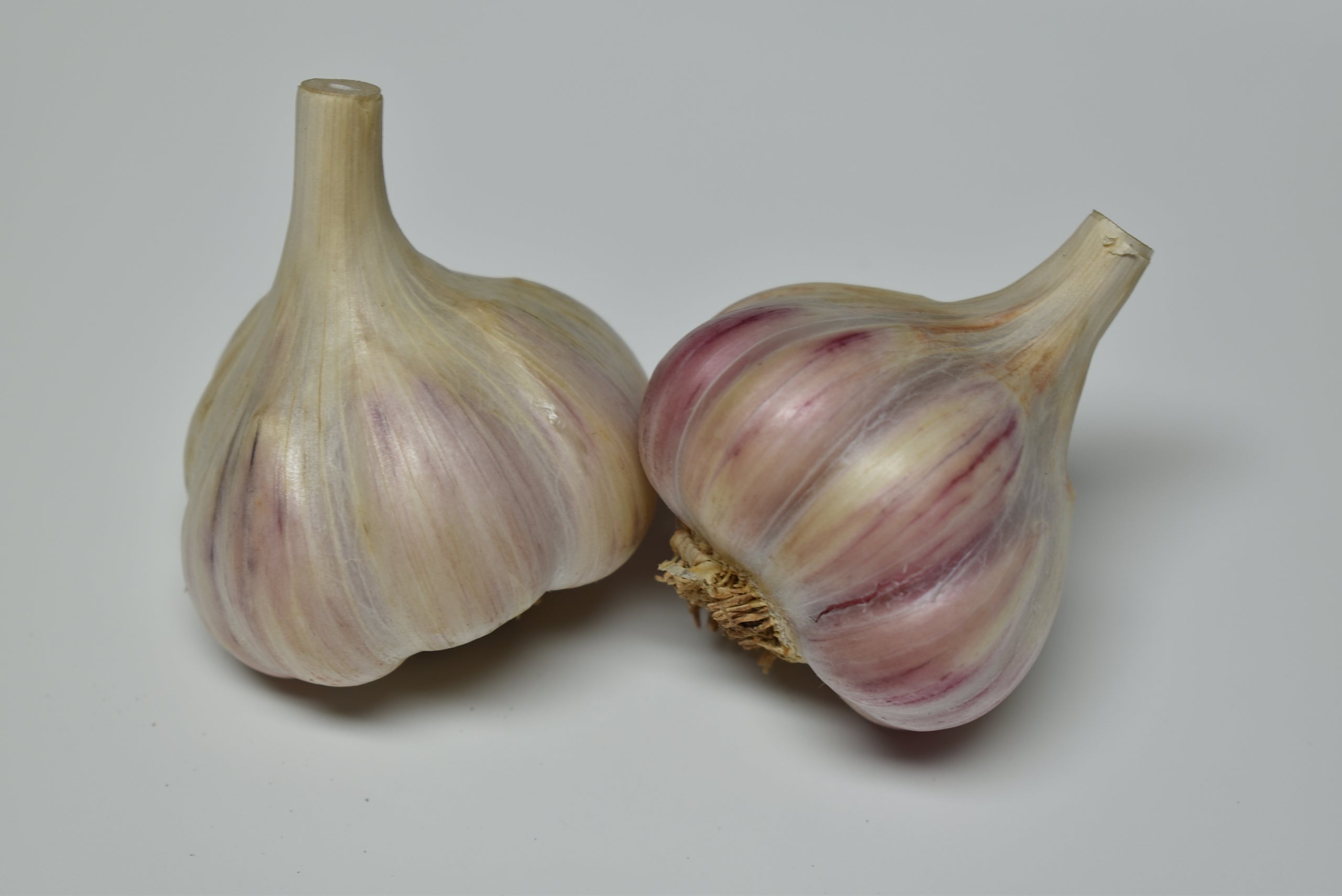 Metechi Natural Organic Garlic Bulbs | Door County Garlic | Seed Garlic ...
