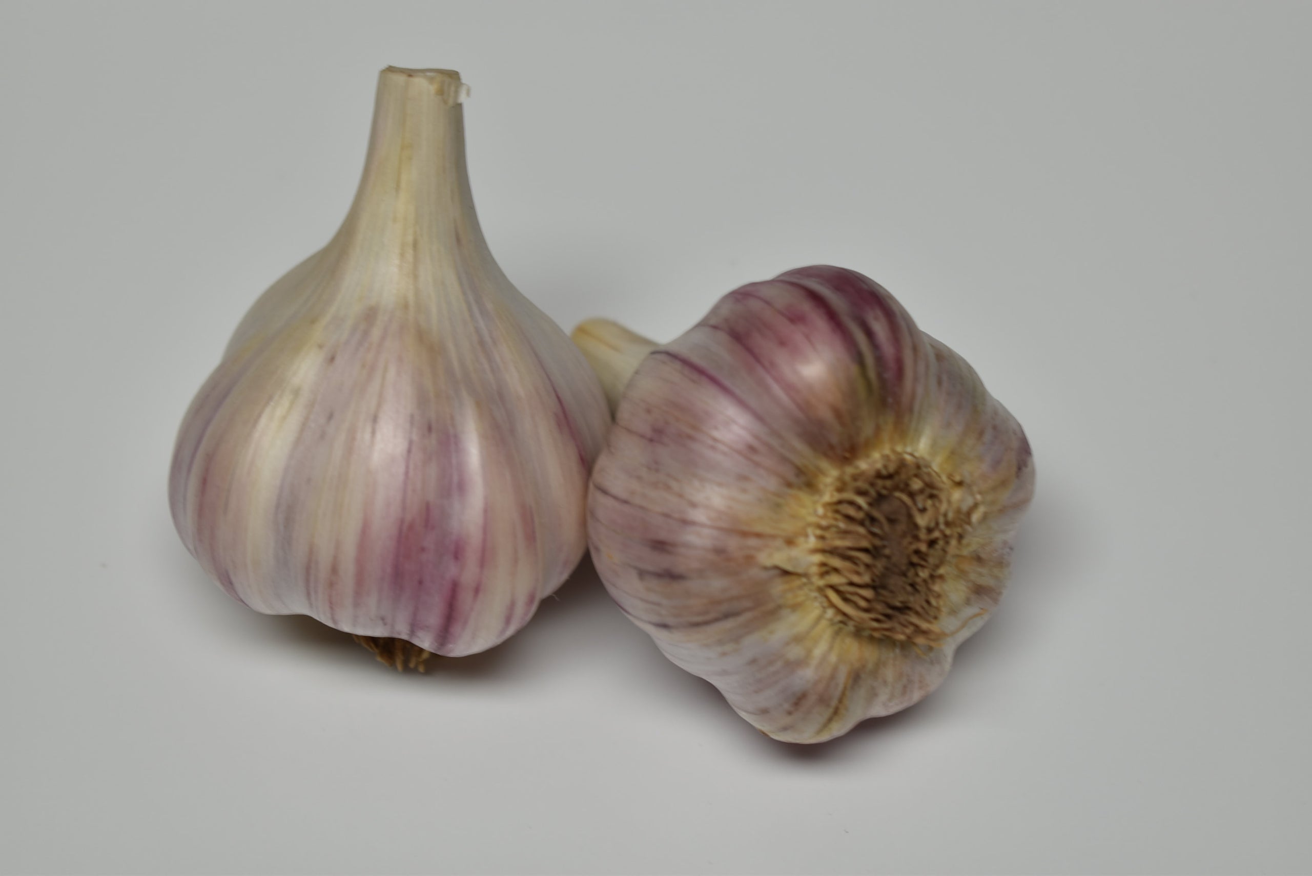 Vietnamese Red Organic Garlic | Organic Garlic | Door County Garlic ...